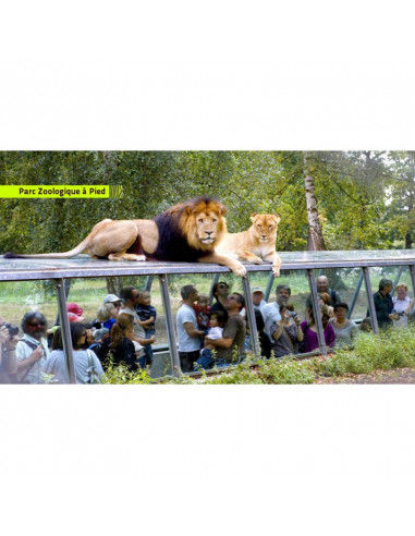 Thoiry Zoo Safari
